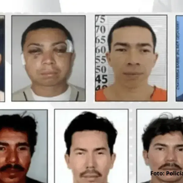 Alias 'Pipo', cabecilla de Los Lobos, pide a España no ser extraditado ...