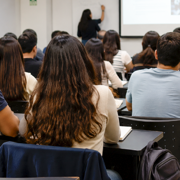¡Alerta! Detectan 354 empresas que ofrecen educación superior sin ...
