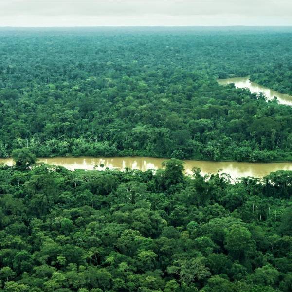 Día Internacional contra el Cambio Climático: Informe Planeta Vivo ...