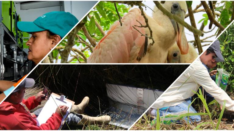 Proyectos ambientales son finalistas en Premios Latinoamérica Verde