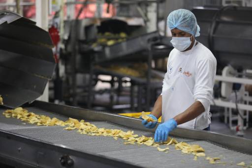 Estas son las empresas que más crecieron en ventas en Ecuador durante 2023