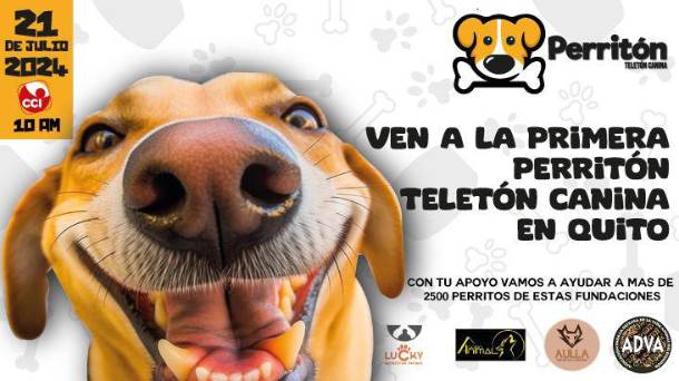 'Perritón' en Quito para apoyar a perros abandonados este domingo 21 de ...