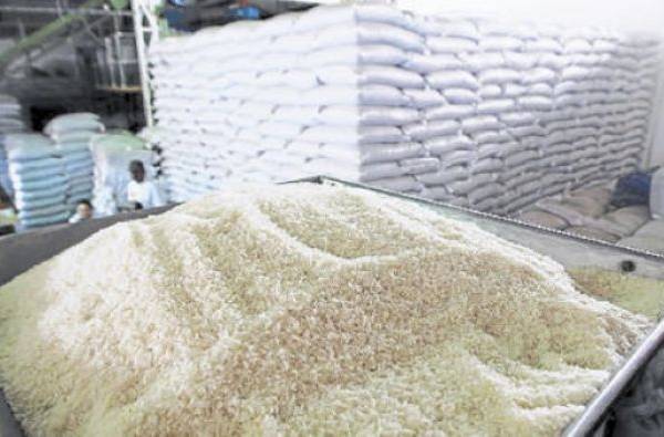 La exportación de arroz deja utilidades para Ecuador
