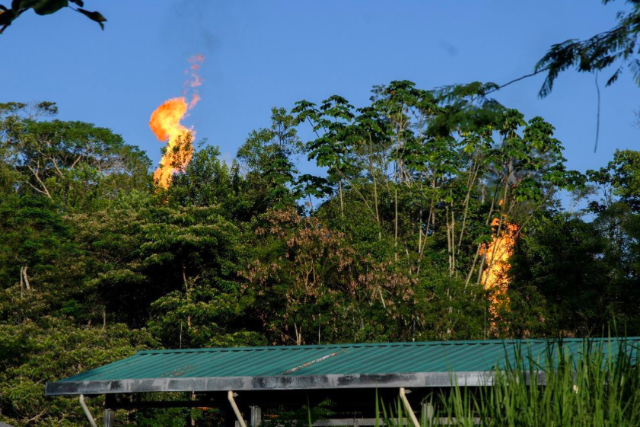 Los Tagaeri-Taromenane 20 años después de la matanza: ¿Aislados o ...