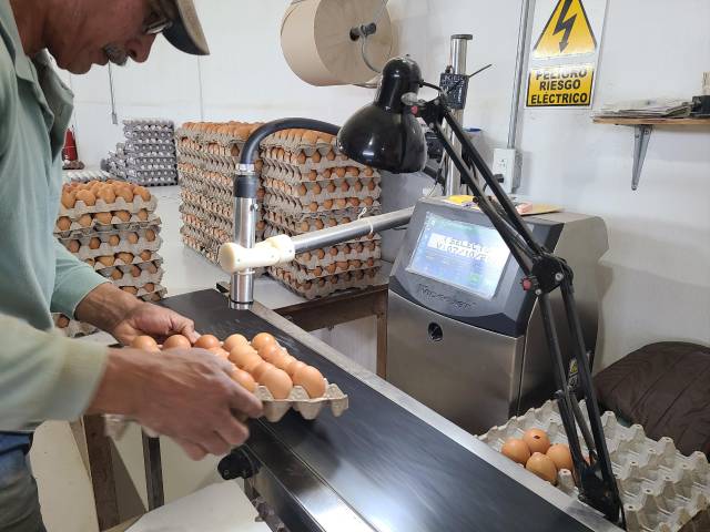 Industria avícola trabaja en el cumplimiento de procesos inocuos y seguros