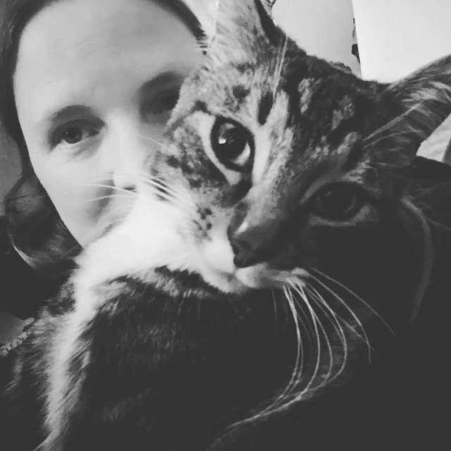 Max, el gato de apoyo emocional que acaba de recibir un doctorado en ...