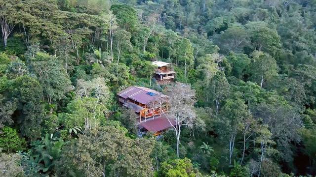 El último remanente de bosque nuboso en la costa de Ecuador
