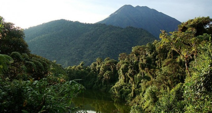 Ecuador recibe $50 millones para protección de bosques
