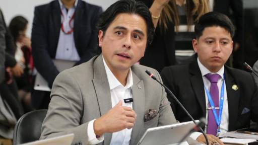 Inés Manzano explica por qué Fabián Calero regresó a Celec en medio de ...