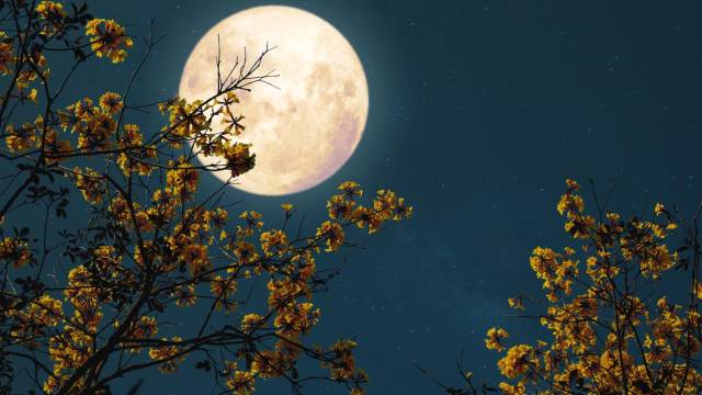 Luna llena de junio 2026: cómo, cuándo y a qué hora ver la espectacular ...