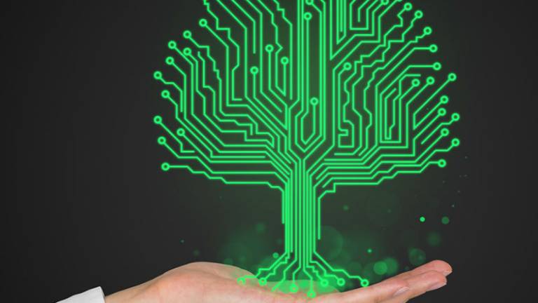 Greenpeace ataca a las empresas que frenan el "internet verde"