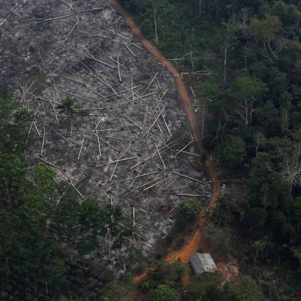 ¿Por qué el Amazonas es extremadamente importante para el mundo?