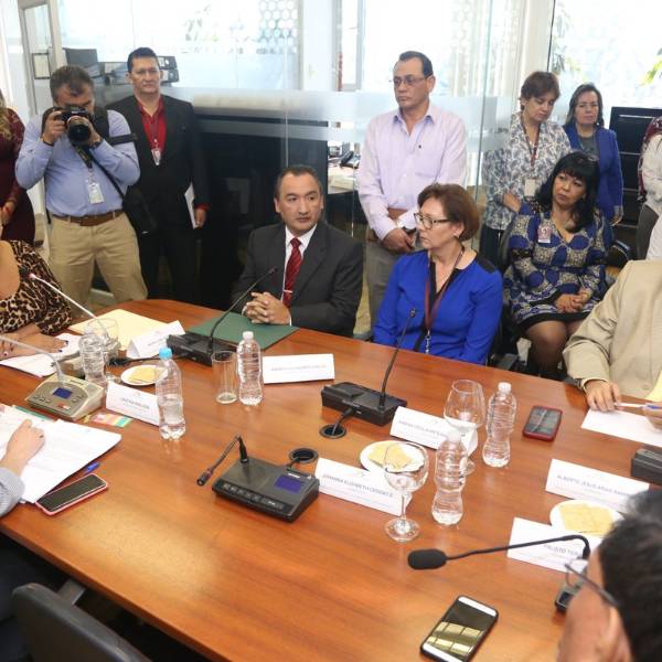 Comisión pide a María José Carrión dar un paso al costado