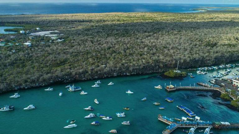 Galápagos explora alternativas de biocombustibles