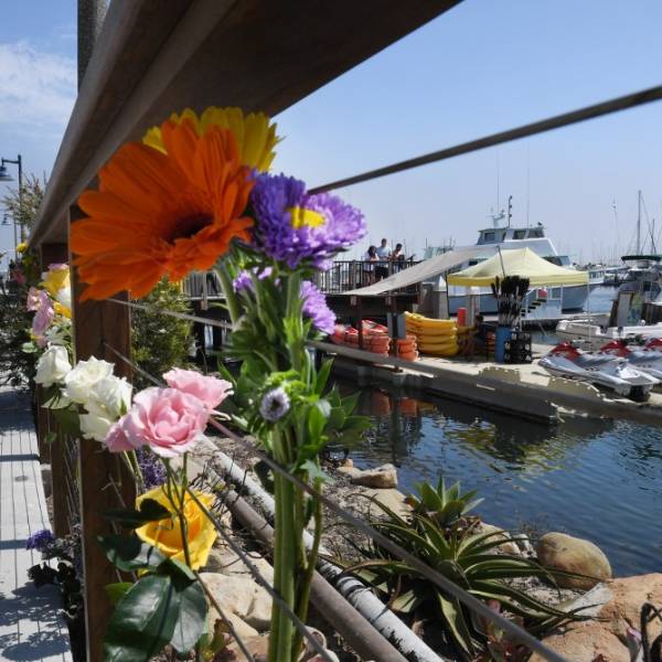 Al menos 8 muertos y 26 desaparecidos tras incendio en California